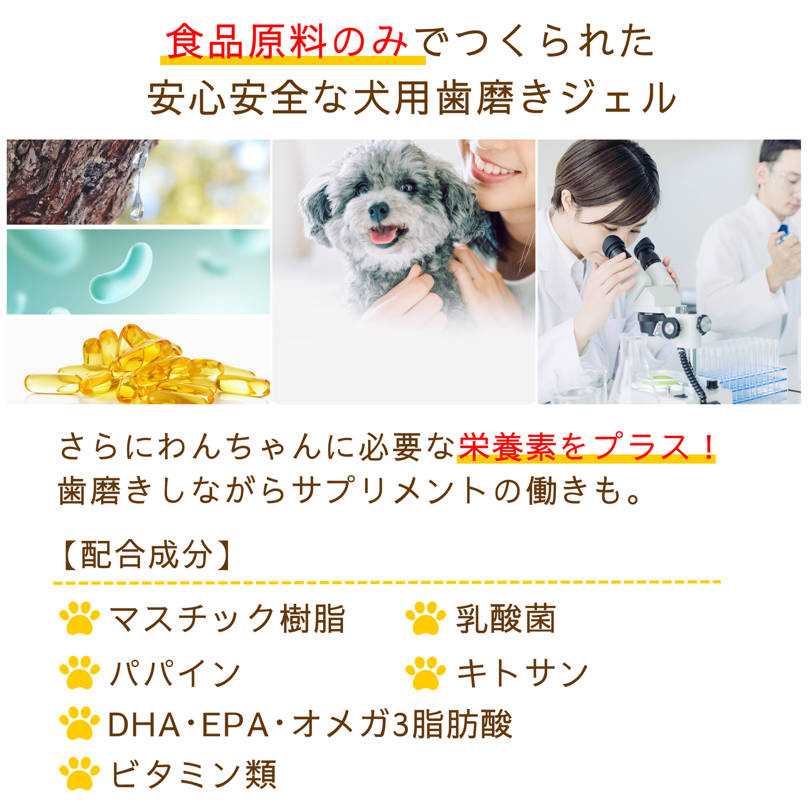 犬用歯磨きジェル ドッグハピネスはみがきプラス – PET HAPPINESS 公式