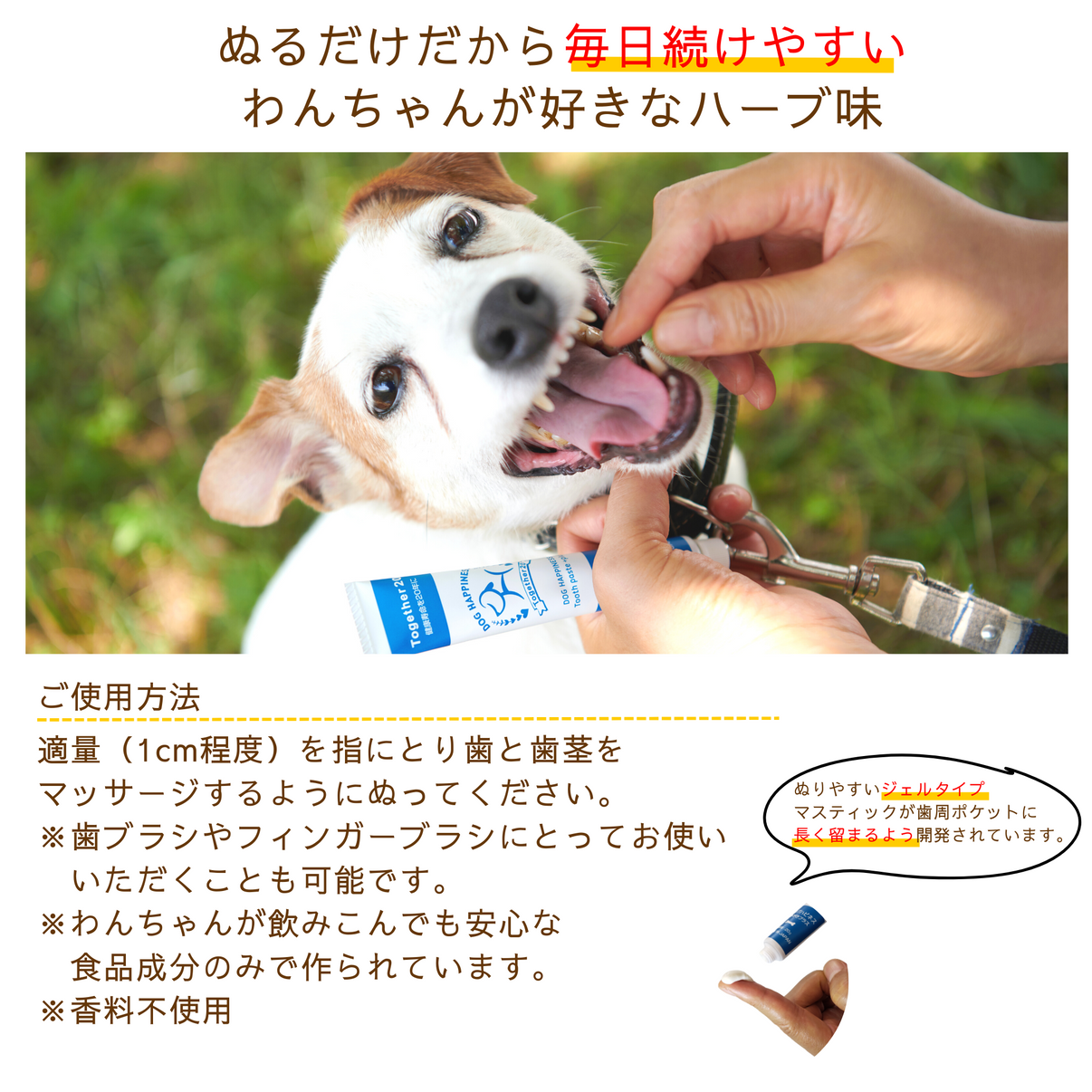 犬用歯磨きジェル ドッグハピネスはみがきプラス – PET HAPPINESS 公式