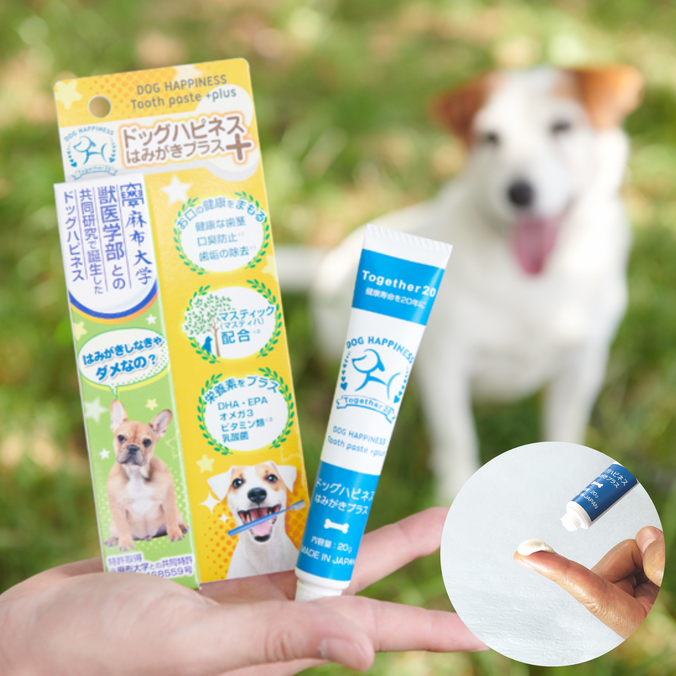 犬用歯磨きジェル ドッグハピネスはみがきプラス – PET HAPPINESS 公式